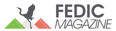 Fedic Magazine - FEDIC